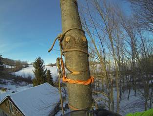 WHERE SHOULD FRICTION BE IN OUR ROPE RIGGING SYSTEMS? – TreeBuzz