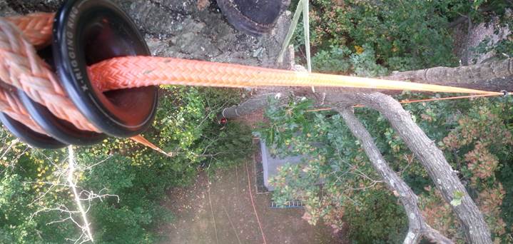 WHERE SHOULD FRICTION BE IN OUR ROPE RIGGING SYSTEMS? – TreeBuzz