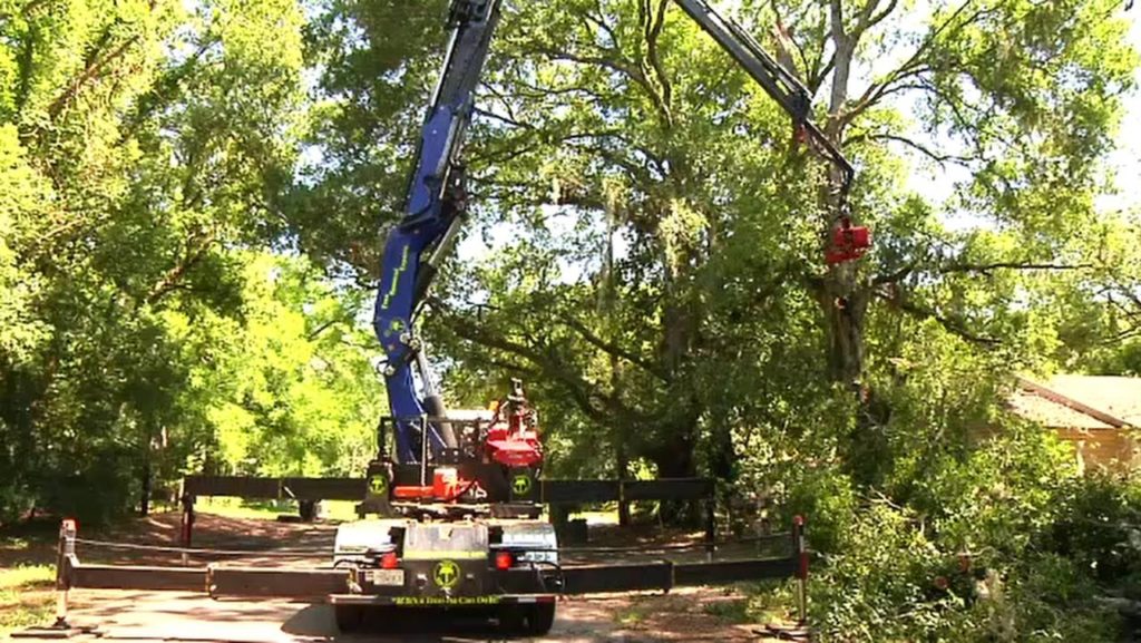 WHERE SHOULD FRICTION BE IN OUR ROPE RIGGING SYSTEMS? – TreeBuzz