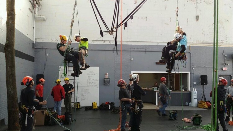 Is ‘Megatron’ the future of tree trimming? – TreeBuzz