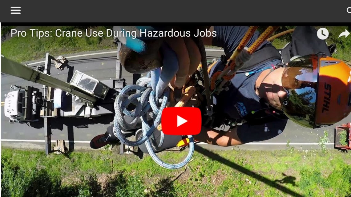 WHERE SHOULD FRICTION BE IN OUR ROPE RIGGING SYSTEMS? – TreeBuzz